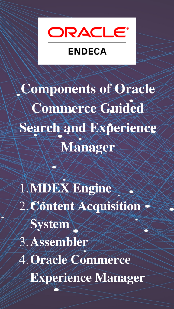 How Oracle Endeca Search Help you in Increasing Conversion?