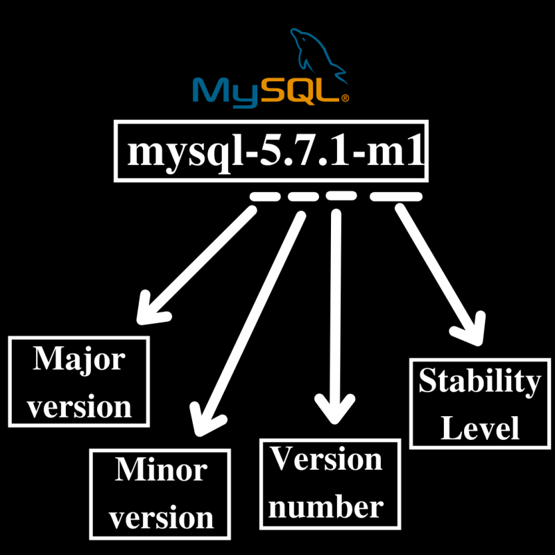 Why update your application's PHP and MySQL versions?