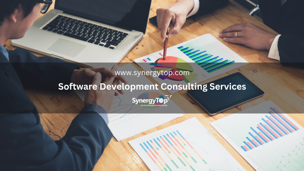 Software Development Consulting Services
